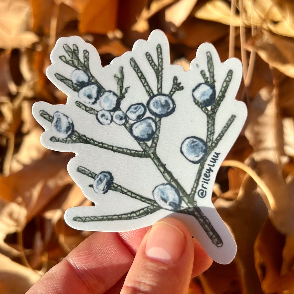 "Juniper" Sticker by Riley Lubich – Moab Made