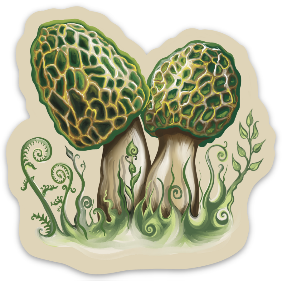 "Morel" Sticker By Tamar Phillips – Moab Made