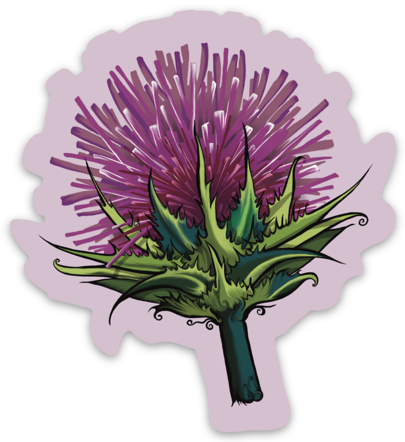 "Thistle" Sticker By Tamar Phillips – Moab Made