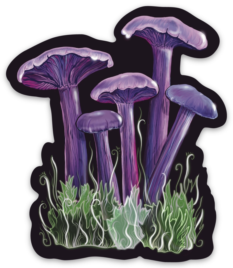 "Amethyst Deceiver" Sticker By Tamar Phillips – Moab Made